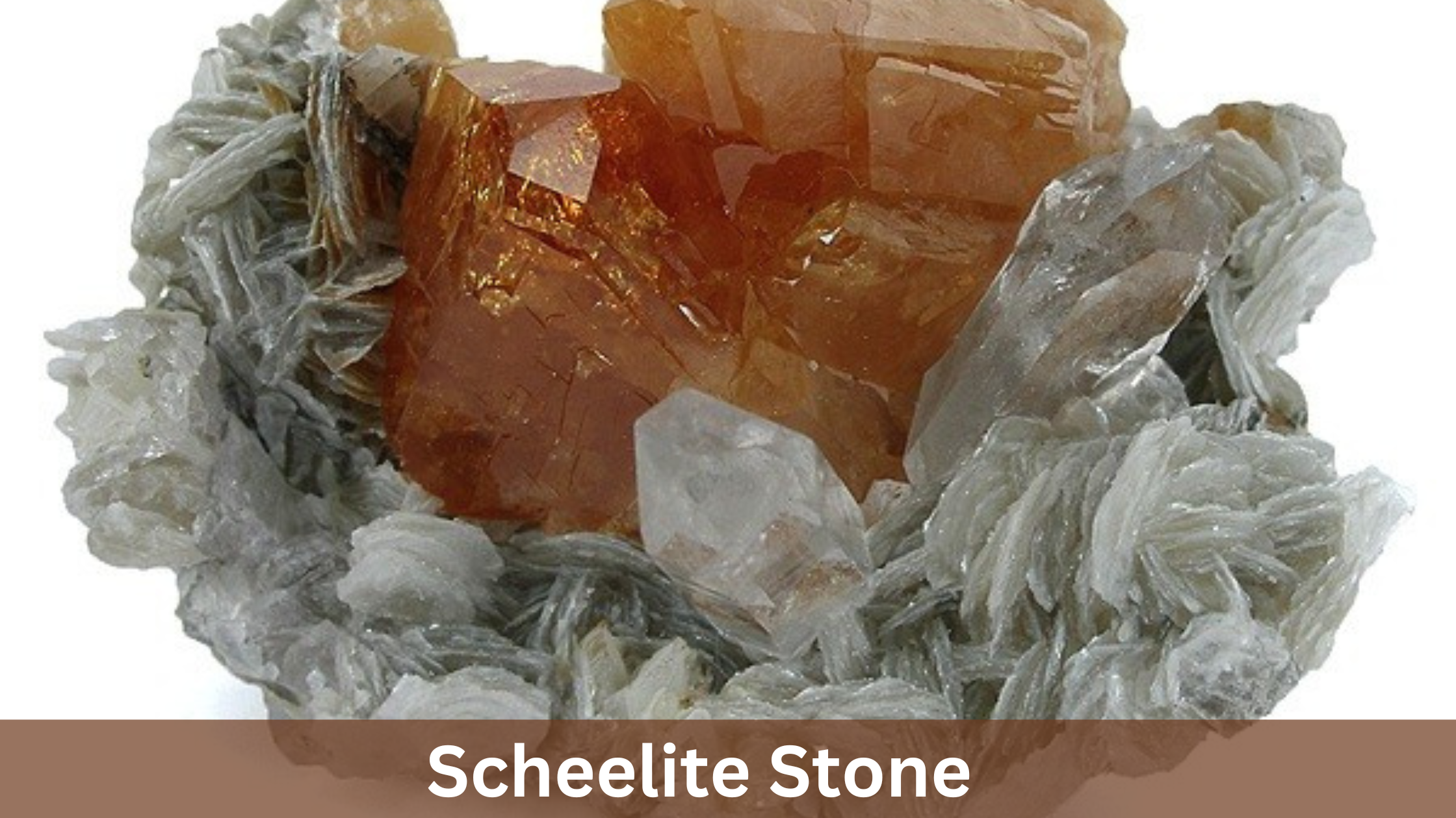 Scheelite Stone - Basic Fact And Information You Need To Know! - Astrodhan