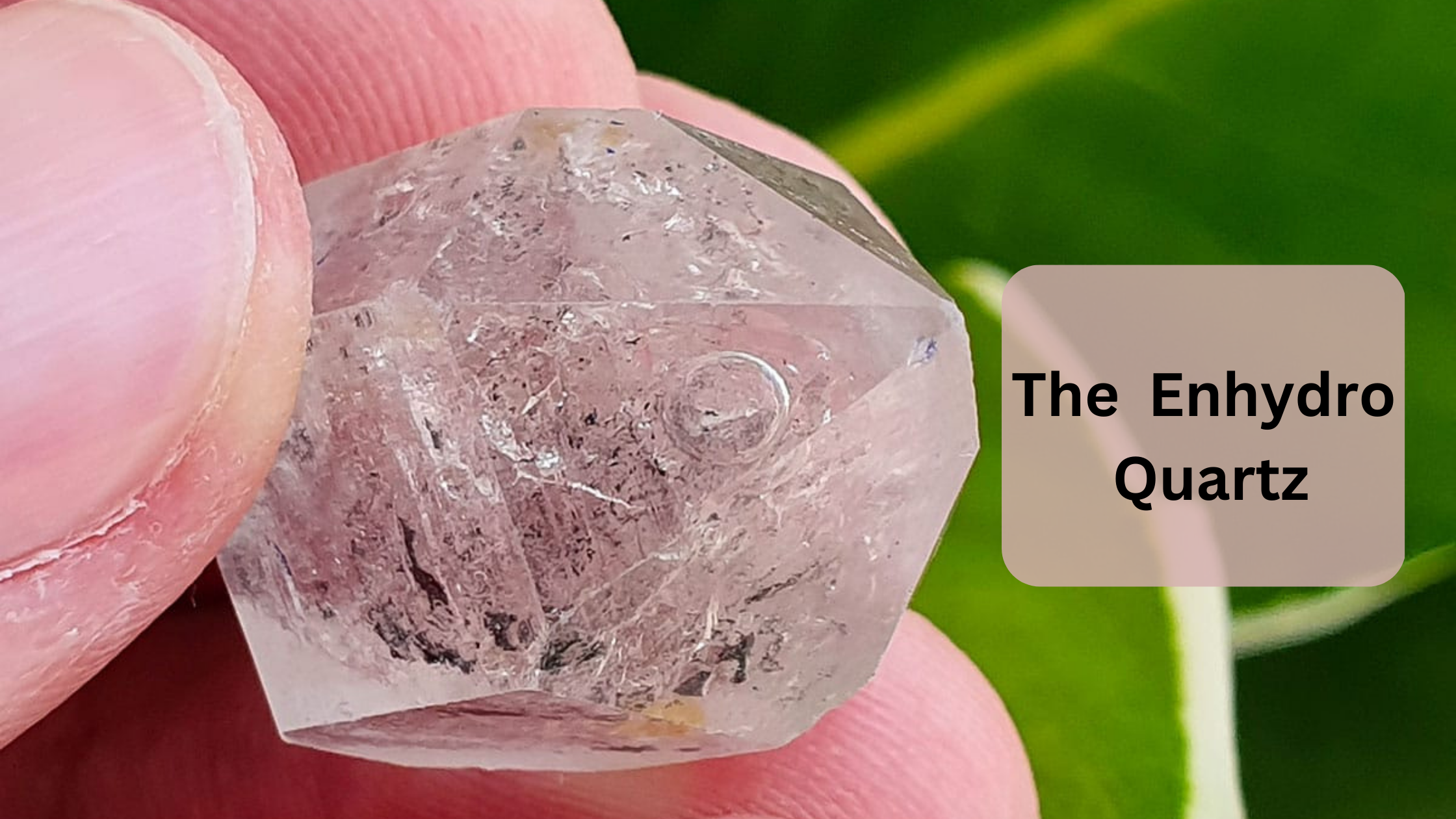 The Definitive Guide to Enhydro Quartz - Astrodhan